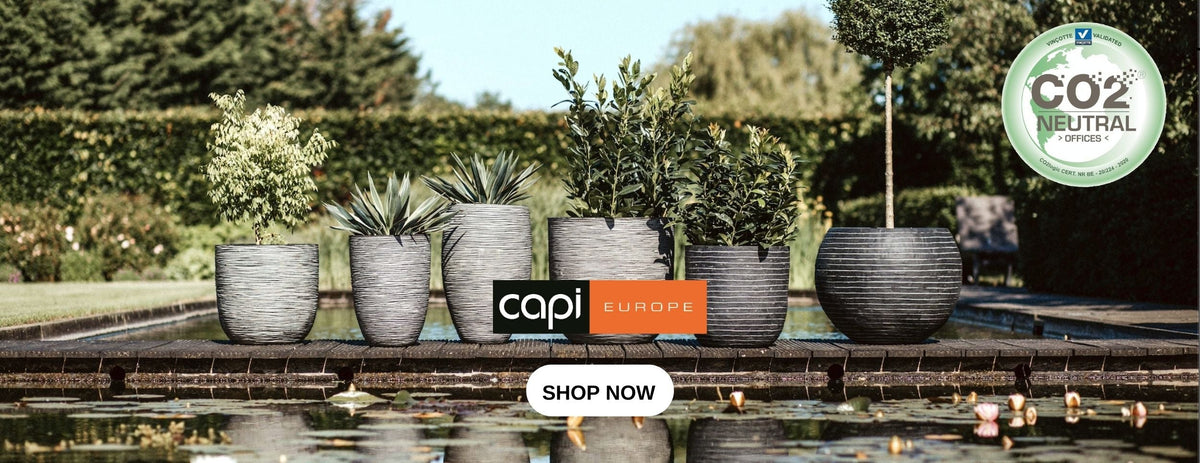 Capi Pots – Rathwood Store